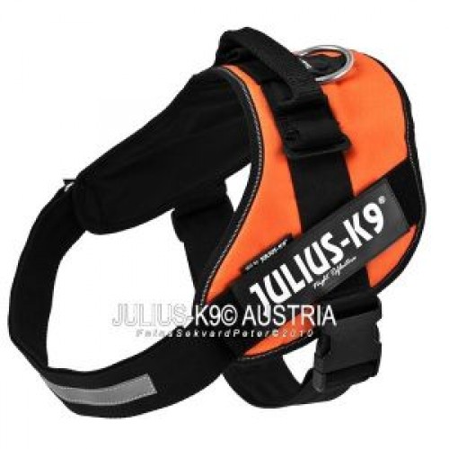 Julius K-9 IDC Harness