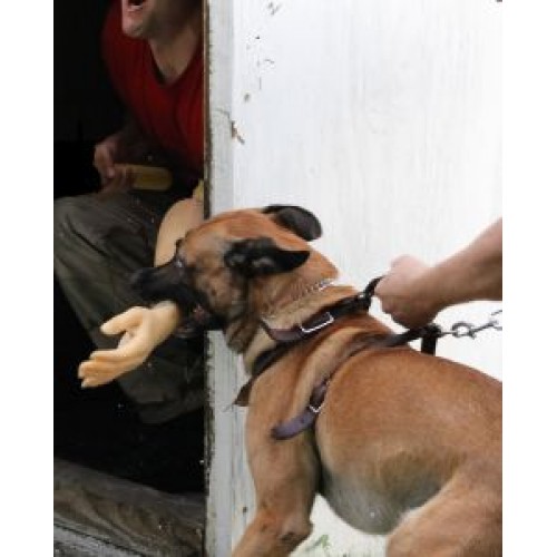 Imitation Rubber Arm